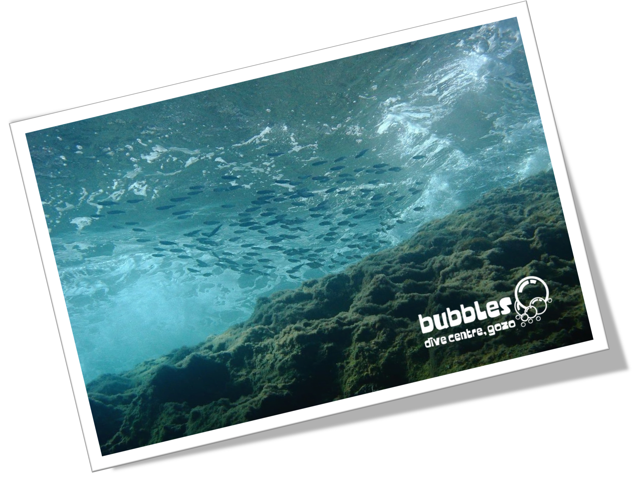 Bubbles Dive Centre - islandofgozo.org