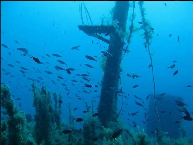 Utina Diving College Ltd - islandofgozo.org