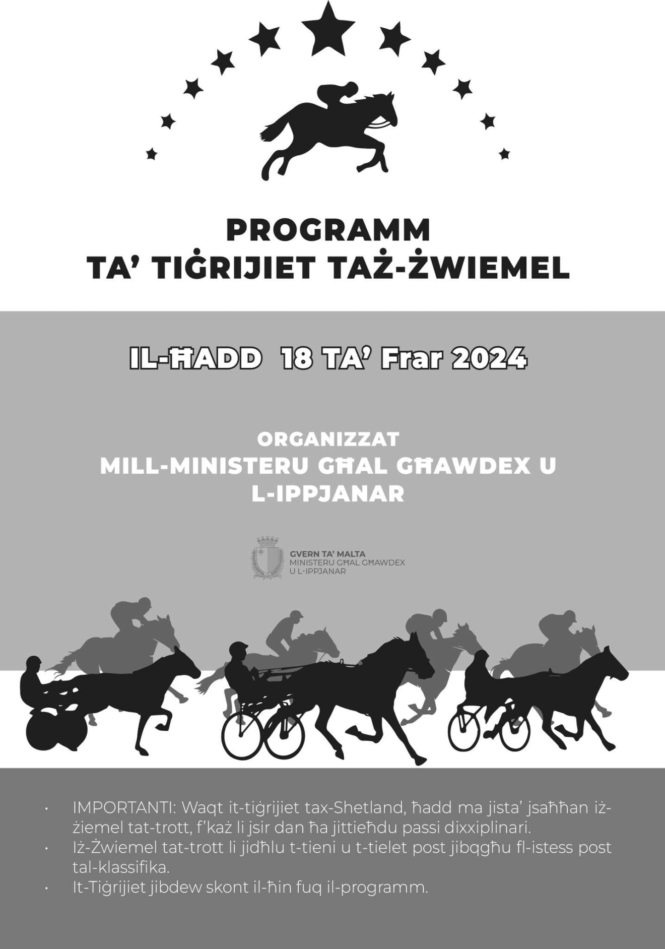 Horse Racing - Events in Gozo - islandofgozo.org